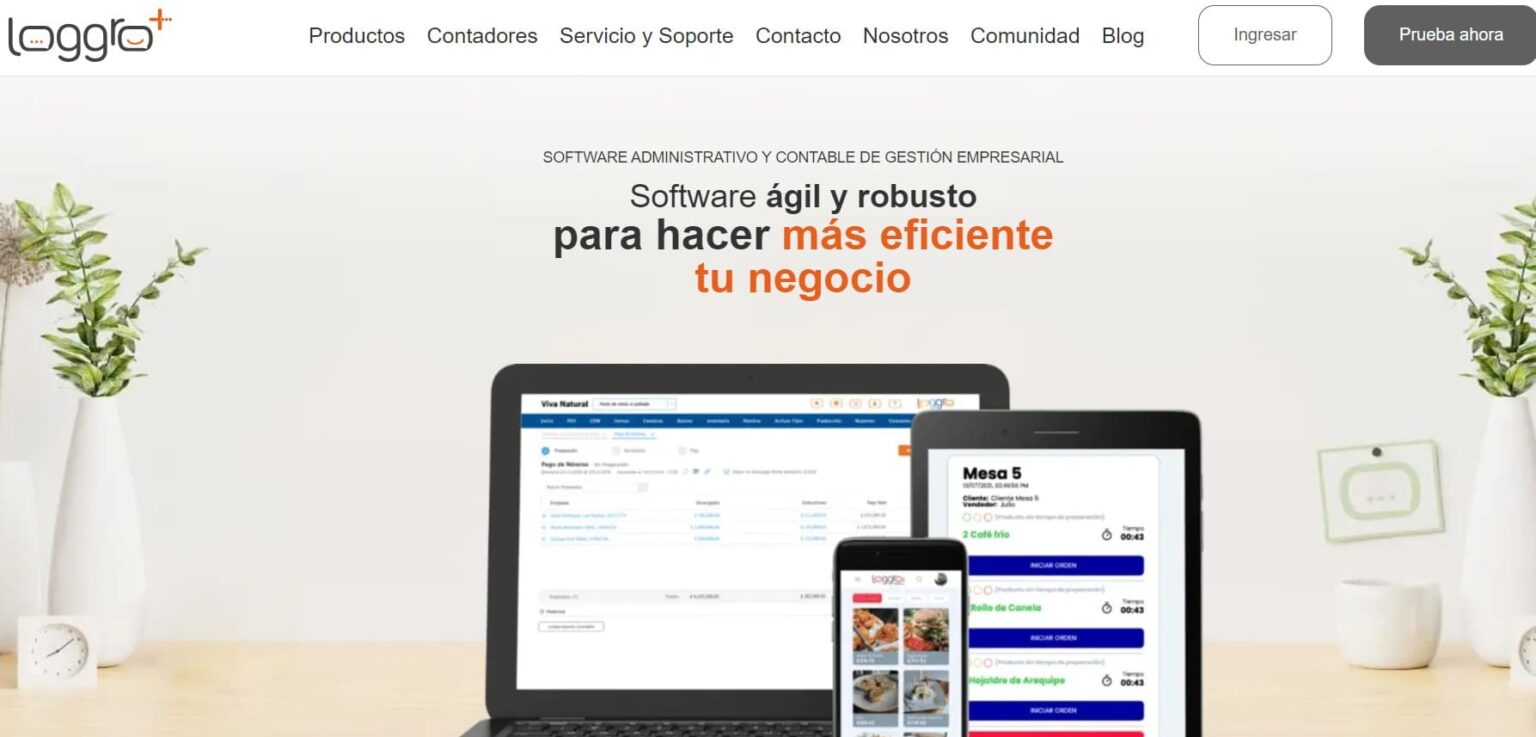 Loggro Software: Transformando la Gestión Empresarial para Todos